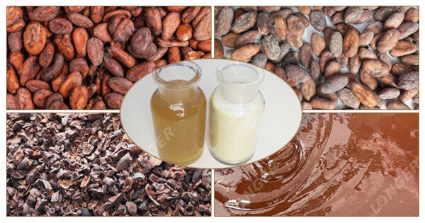 Processus De Fabrication Du Beurre De Cacao - 5 Étapes